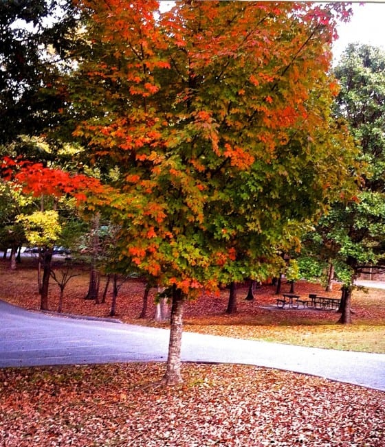 Hiking and Camping at Patapsco Valley State Park, Maryland | New ...