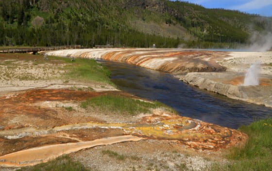 Visiting Yellowstone National Park | New American Journal