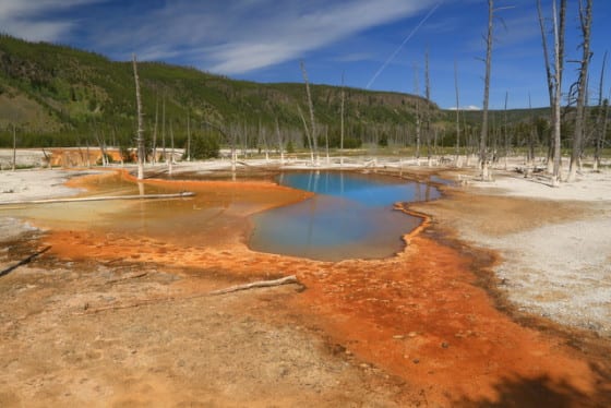 Visiting Yellowstone National Park | New American Journal