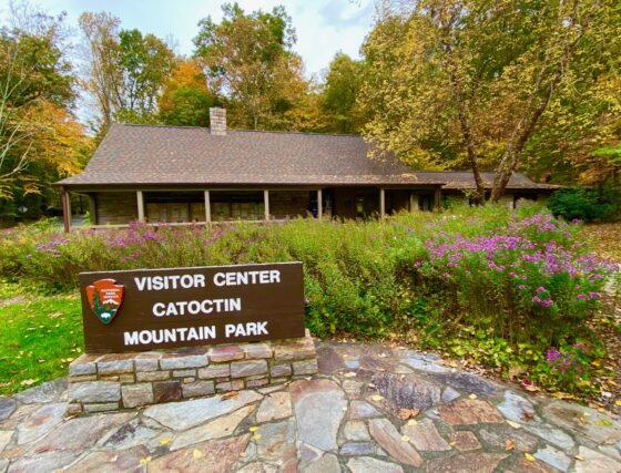 Capturing Fall Foliage Pictures in Maryland’s Catoctin Mountain Park ...