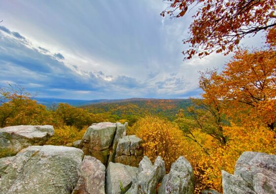 Capturing Fall Foliage Pictures in Maryland’s Catoctin Mountain Park ...