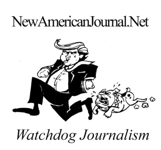 Fund Watchdog Journalism | New American Journal