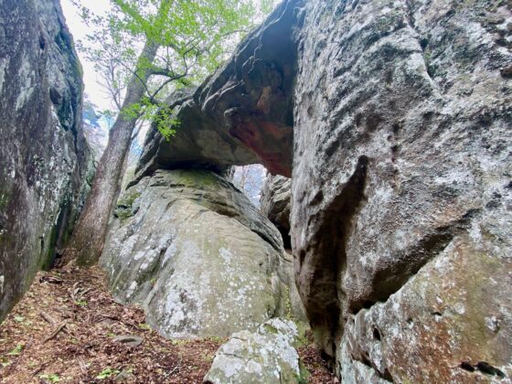 Camping, Hiking and Rock Climbing at Cherokee Rock Village | New ...